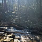 Laurel Run Trail, Tennessee - 632 Reviews, Map | AllTrails