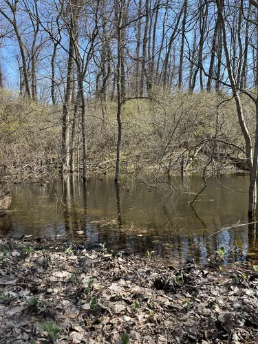 Best Hikes and Trails in Croton Point Park | AllTrails
