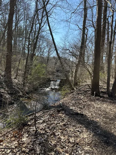 Best Lake Trails in Mill Neck | AllTrails