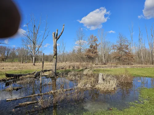 Best Hikes and Trails in Paul Ruster Park | AllTrails