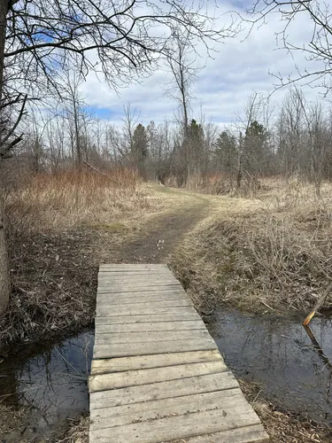 10 Best Partially Paved Trails in NCC Greenbelt | AllTrails