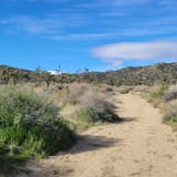 Panorama Loop, California - 2,889 Reviews, Map | AllTrails