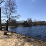 Batsto Lake Trail, New Jersey - 1,583 Reviews, Map | AllTrails