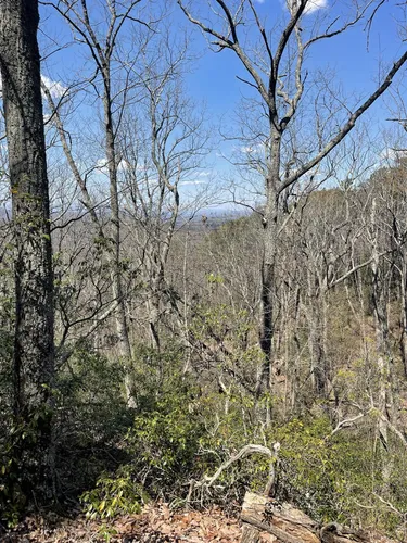 Best Forest Trails in Hickory | AllTrails