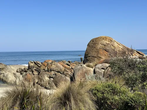 Best Hikes and Trails in Cape Conran Coastal Park | AllTrails