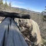 Fatmans Loop Trail, Arizona - 5,013 Reviews, Map | AllTrails