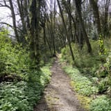 Lake Fenwick, Washington - 666 Reviews, Map | AllTrails