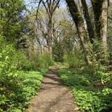 Lake Fenwick, Washington - 666 Reviews, Map | AllTrails