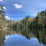 Lake Fenwick, Washington - 666 Reviews, Map | AllTrails