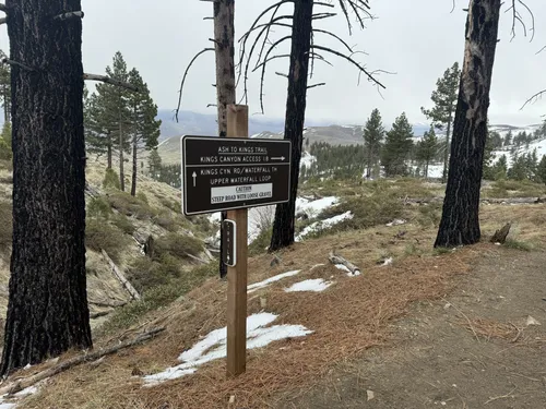 Best River Trails in Carson City | AllTrails