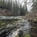 West Metolius River Trail, Oregon - 745 Reviews, Map | AllTrails