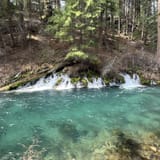 West Metolius River Trail, Oregon - 745 Reviews, Map | AllTrails