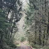 Foothills Trail: Fairfax Bridge to Carbonado, Washington - 319 Reviews ...