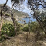 Cape Brett Track, Northland, New Zealand - 227 Reviews, Map | AllTrails
