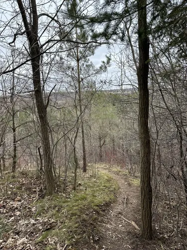 Best Hikes and Trails in Len Gertler Memorial Loree Forest | AllTrails