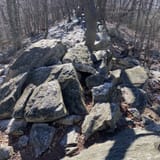 White Rocks Trail, Pennsylvania - 1,744 Reviews, Map | AllTrails