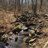 Shamokin Nature Trail, Virginia - 91 Reviews, Map | AllTrails