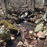 Shamokin Nature Trail, Virginia - 91 Reviews, Map | AllTrails