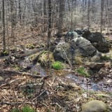 Shamokin Nature Trail, Virginia - 91 Reviews, Map | AllTrails