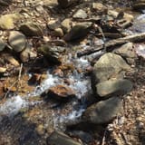 Shamokin Nature Trail, Virginia - 91 Reviews, Map | AllTrails