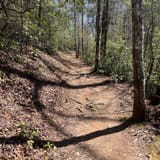 Chestnut Top Trail, Tennessee - 490 Reviews, Map | AllTrails
