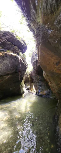 Maricao State Forest: de beste routes om te wandelen | AllTrails