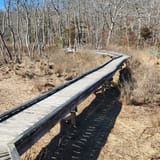 Cornell Farm Bridge, Massachusetts - 400 Reviews, Map | AllTrails
