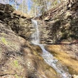 Fall Run Trail, Pennsylvania - 885 Reviews, Map | AllTrails