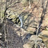 Fall Run Trail, Pennsylvania - 885 Reviews, Map | AllTrails