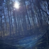 Salt Run, Ohio - 1,174 Reviews, Map | AllTrails