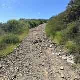Black Mountain via Nighthawk Trail Loop, California - 1,013 Reviews ...