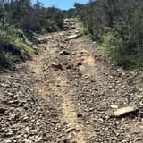 Black Mountain via Nighthawk Trail Loop, California - 1,013 Reviews ...