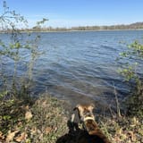 Creve Coeur Lakeview Loop Trail, Missouri - 1,840 Reviews, Map | AllTrails