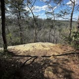 Hidden Arch Trail, Kentucky - 1,081 Reviews, Map | AllTrails