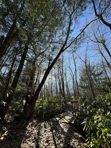 Best Easy Trails in Forbes State Forest | AllTrails