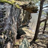 Whitaker Point Trail (Hawksbill Crag), Arkansas - 3,713 Reviews, Map ...