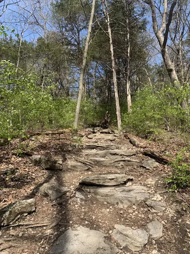 Best Long Trails in Weldon Spring Conservation Area | AllTrails