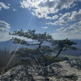 Tinker Cliffs via Andy Layne Trail, Virginia - 1,673 Reviews, Map ...