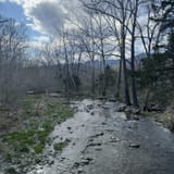 Tinker Cliffs via Andy Layne Trail, Virginia - 1,673 Reviews, Map ...