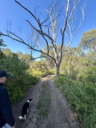 Best Hikes and Trails in Mitchell River Silt Jetties Gippsland Lakes ...