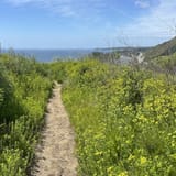 Corral Canyon Loop, California - 1,733 Reviews, Map | AllTrails