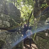 Waitomo Walkway, Waikato, New Zealand - 67 Reviews, Map | AllTrails