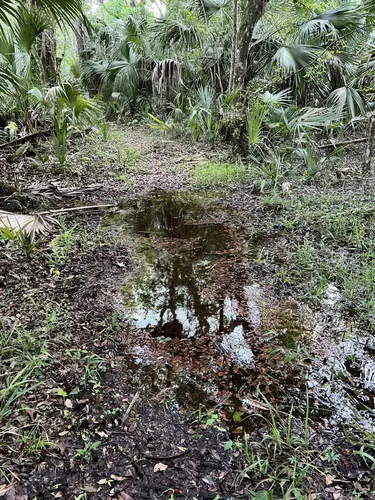 Best Hikes and Trails in Potts Preserve | AllTrails