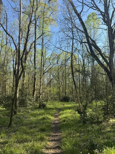 Best Hikes and Trails in Chewacla State Park | AllTrails
