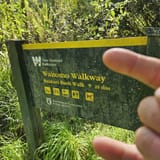 Waitomo Walkway, Waikato, New Zealand - 67 Reviews, Map | AllTrails
