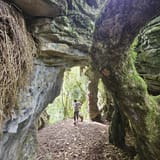 Waitomo Walkway, Waikato, New Zealand - 67 Reviews, Map | AllTrails