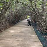Ke Ala Hele Makalae (Kauai Multiuse Path), Kaua'i, Hawaii - 828 Reviews ...
