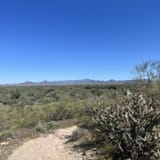 Apache Wash Loop Trail, Arizona - 2,034 Reviews, Map | AllTrails