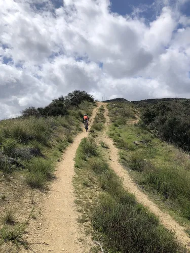 Best Hikes and Trails in Tujunga | AllTrails