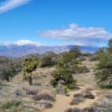 Panorama Loop, California - 2,889 Reviews, Map | AllTrails